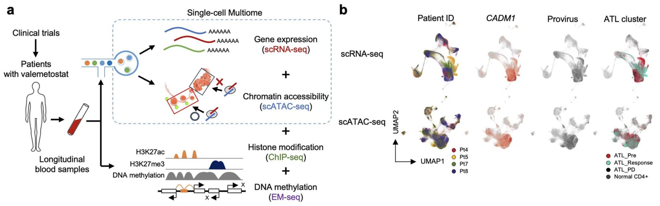 Mechanisms of action and resistance to epigenetic cancer therapy valemetostat, revealed with ...